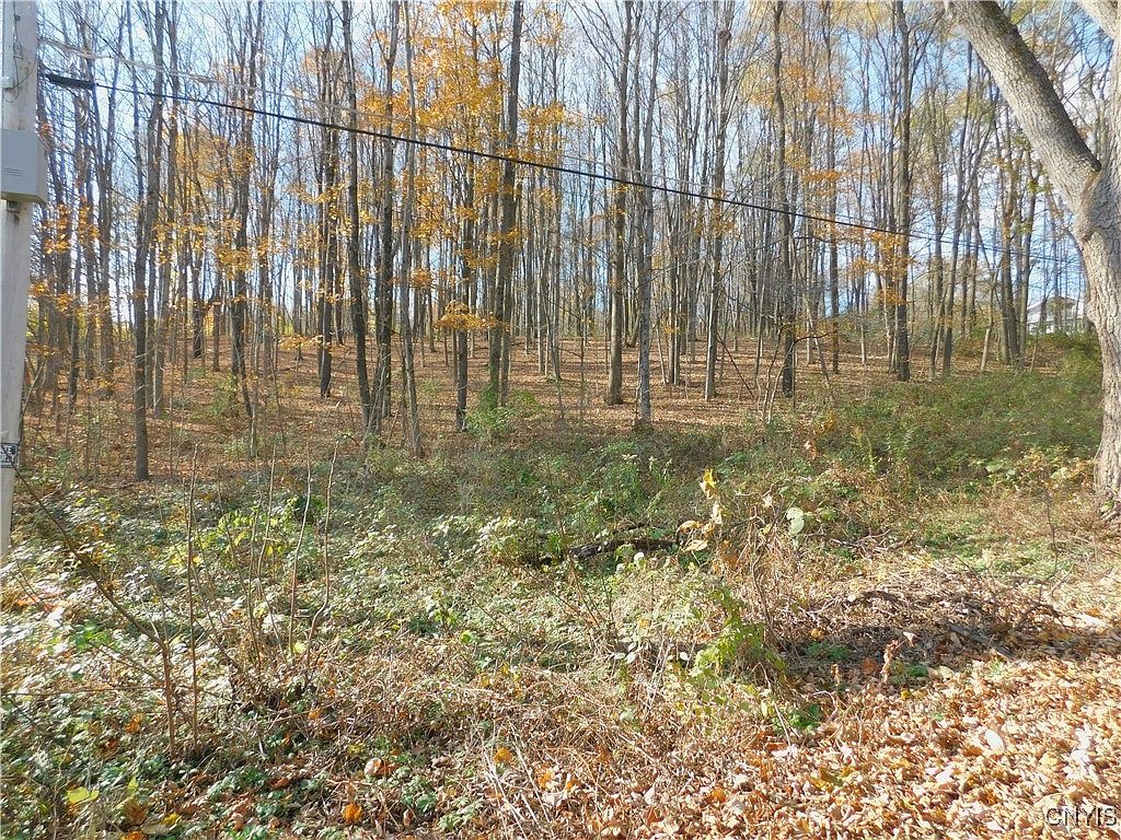 0 Podunk Rd #35, Lee Center, NY 13363 | MLS #S1574589 | Zillow