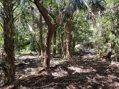 7895 N Leewynn Dr Sarasota FL | Zillow