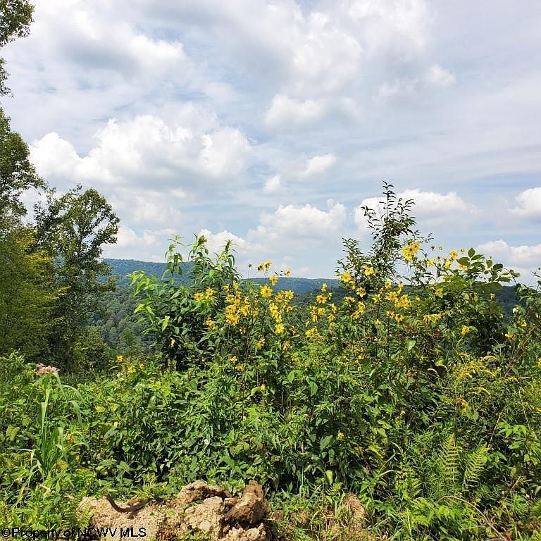 1 & LOT 2, Terra Alta, WV 26764 | Zillow