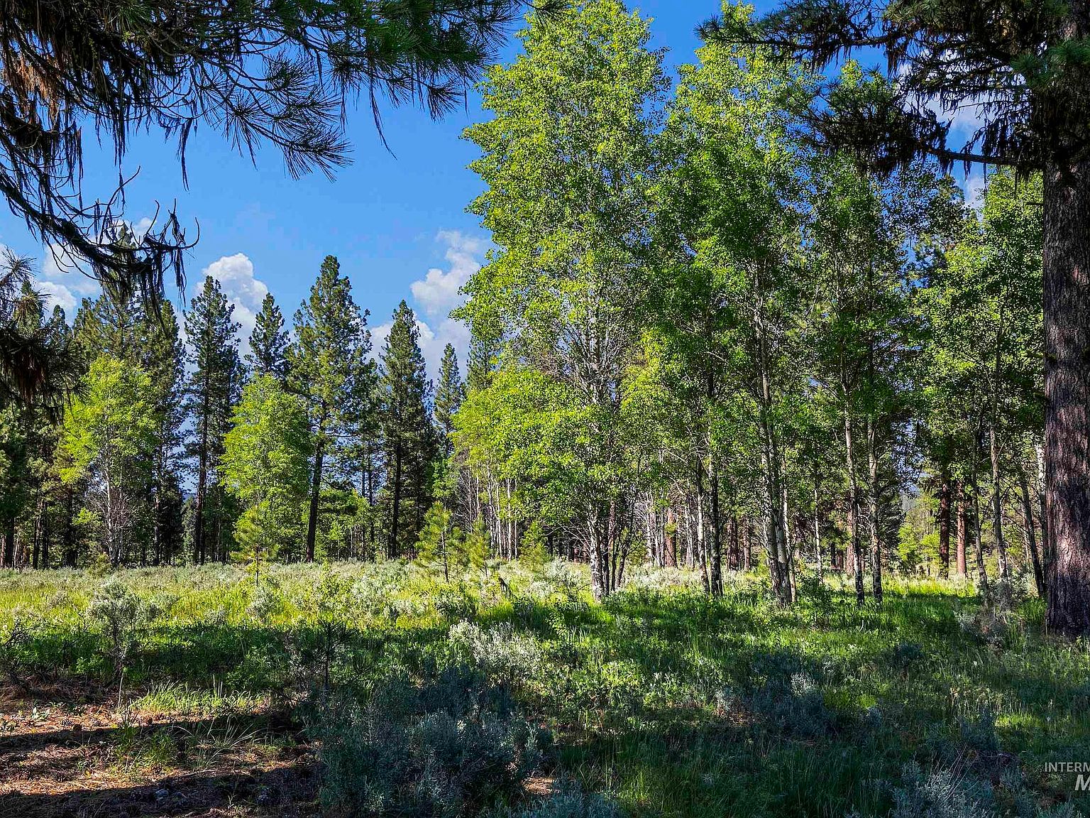 PARCEL Eight Harris Creek Rd, Placerville, ID 83666 | Zillow