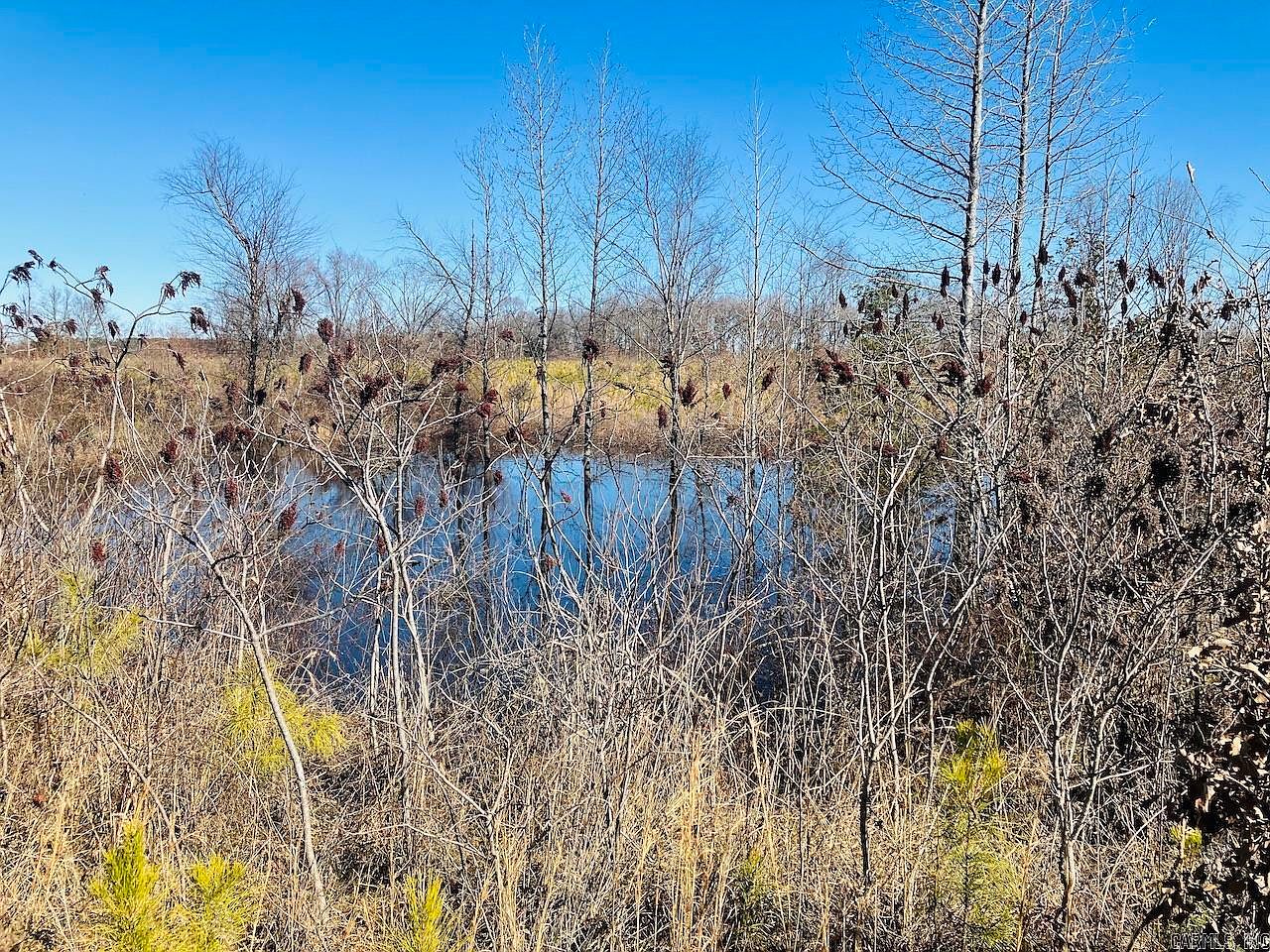 0 Wilderness Rd, Center Ridge, AR 72027 | MLS #24003192 | Zillow
