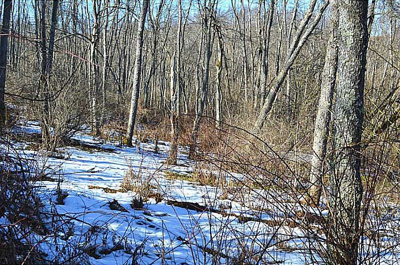 Greaves Rd, West Alexander, PA 15376 | Zillow