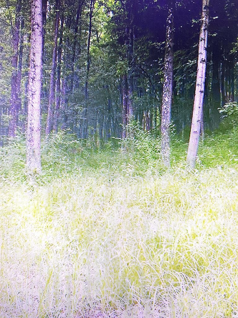 503 Falling Timber, Smithfield, WV 26437 | MLS #134905 | Zillow