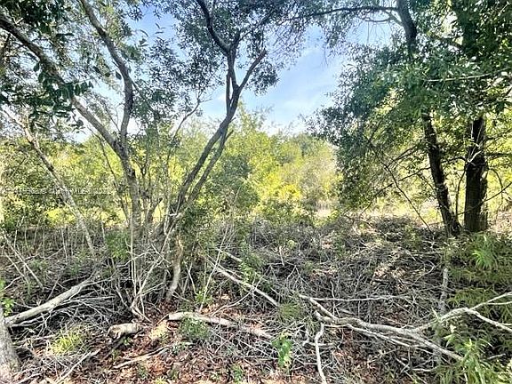 2900 W Yepremian Rd, Avon Park, FL 33825 | MLS #A11419969 | Zillow