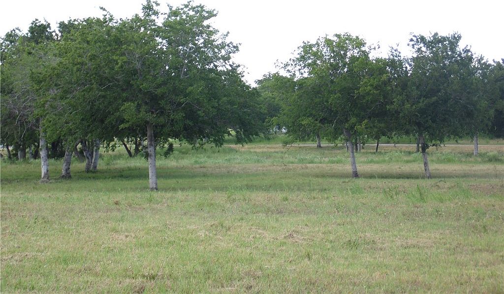 21088 Donegal St, Mathis, TX 78368 | MLS #420219 | Zillow