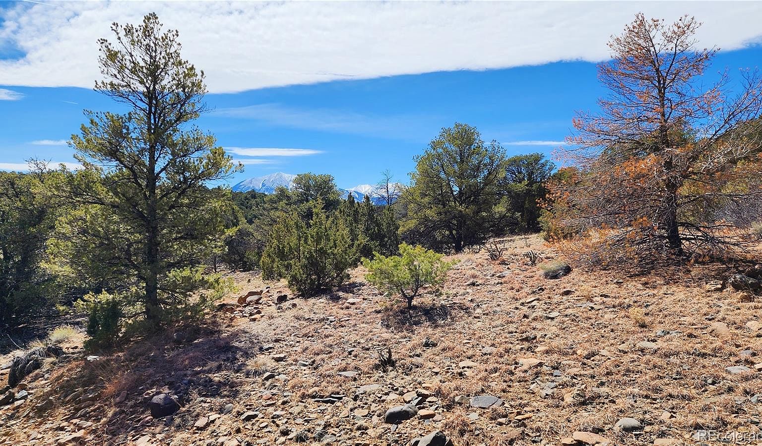 142 River Ridge Ranch, Walsenburg, CO 81089 | Zillow