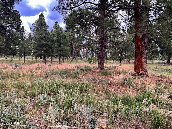 1458 Homestead Rd, Flagstaff, AZ 86005 | MLS #6429440 | Zillow