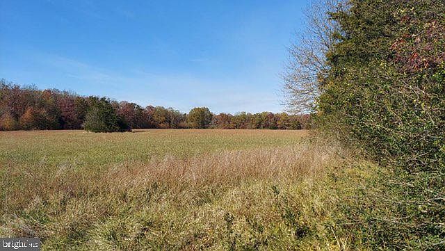 21336 Mount Pony Rd, Culpeper, VA 22701 | Zillow