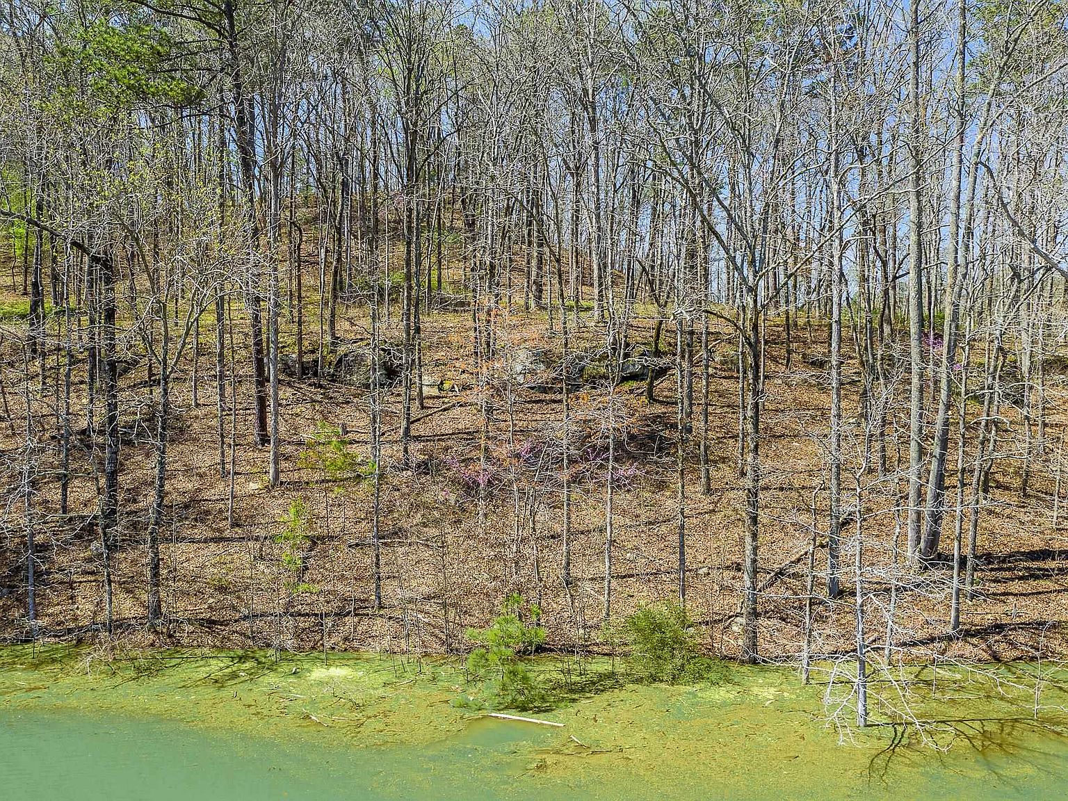 White Oak Pl, Arley, AL 35541 | Zillow