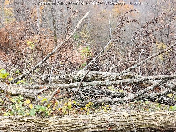 0 Beechy Rd, Lizemores, WV 25125 | MLS #272022 | Zillow