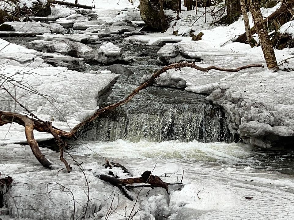 2664 VT Route 16, Greensboro, VT 05841 | Zillow