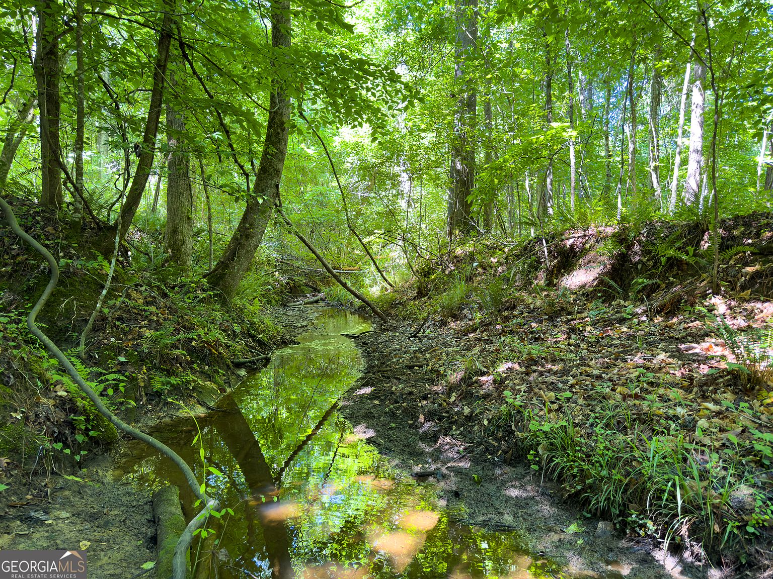 0 Dixon Rd, Sparta, GA 31087 | Zillow 0 Dixon Rd, Sparta, GA 31087 | Zillow