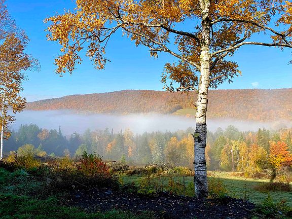 1595 Steele Hill Road, Roxbury, VT 05669 | MLS #4958508 | Zillow