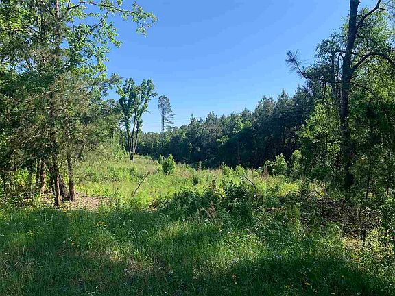 1-1 Fm 251 S, Bivins, TX 75555 | MLS #20212583 | Zillow