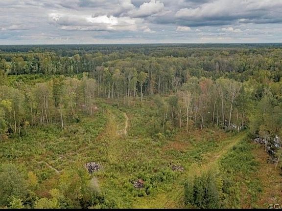 Robin Rd, Disputanta, VA 23842 | MLS #2231172 | Zillow