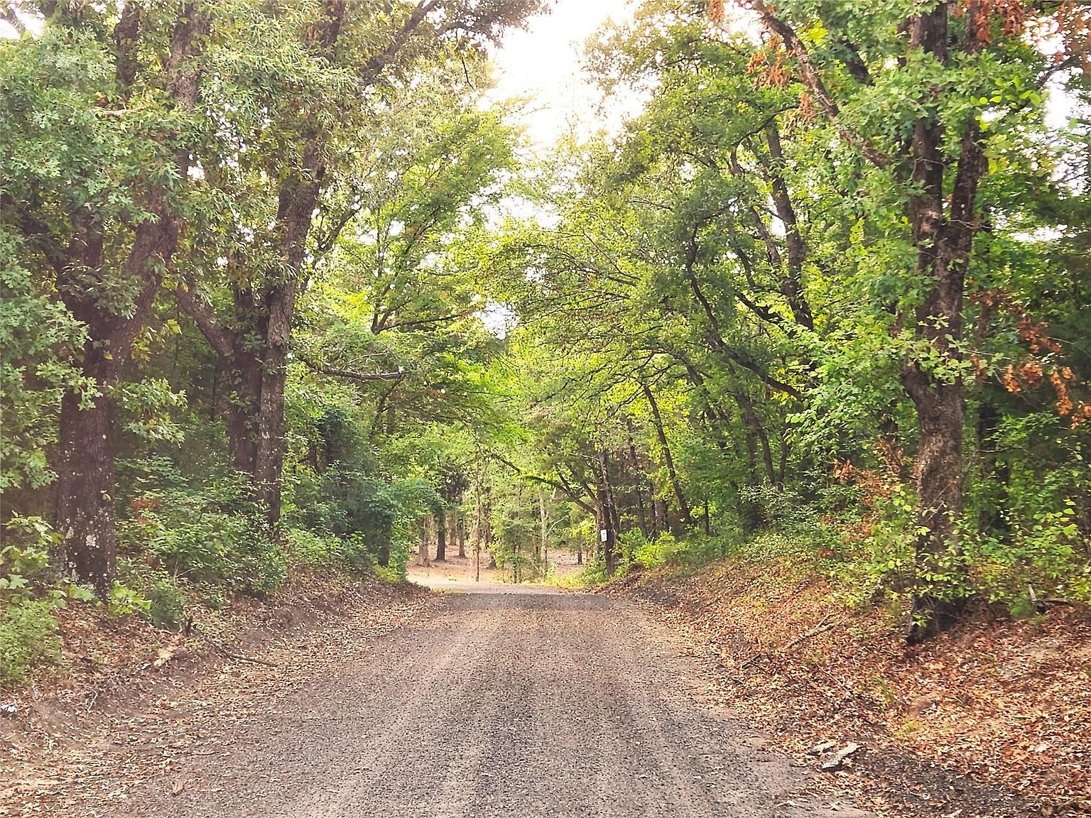 LOT 465 County Road 4710, Larue, TX 75770 | MLS #20552547 | Zillow