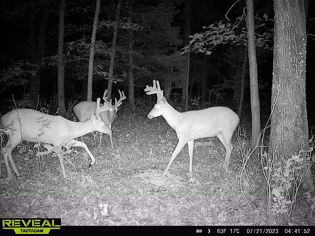 Ehlers Rd, Stover, MO 65078 | MLS #11185612 | Zillow