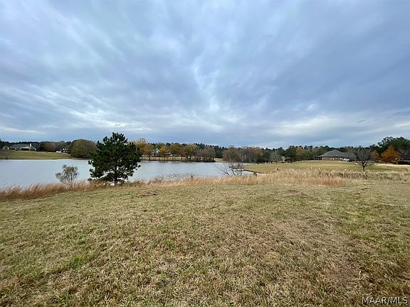 561 Chesson Hill Dr, Fitzpatrick, AL 36029 | Zillow