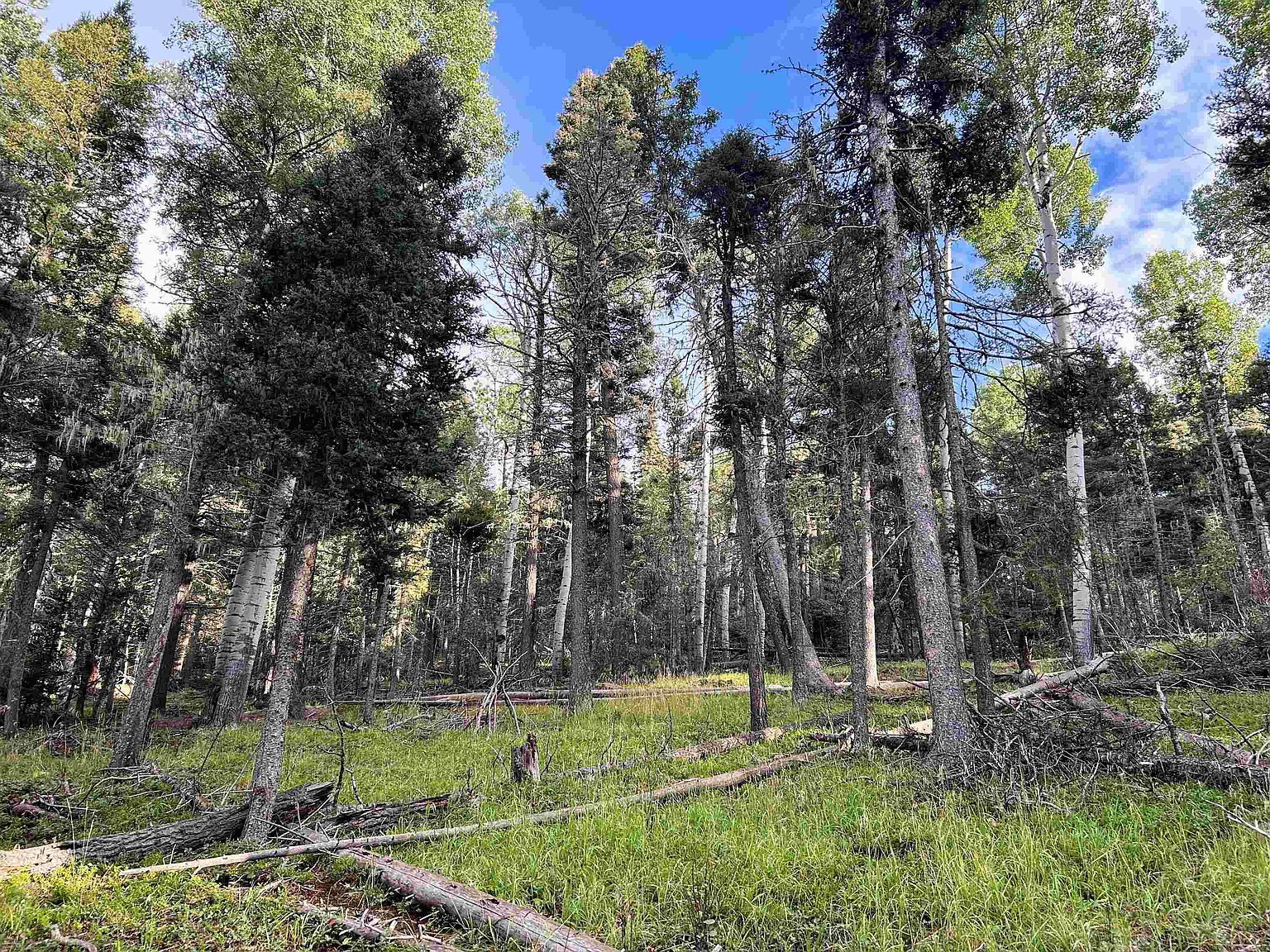 Lot 1283 Via Del Rey, Angel Fire, NM 87710 | MLS #112298 | Zillow