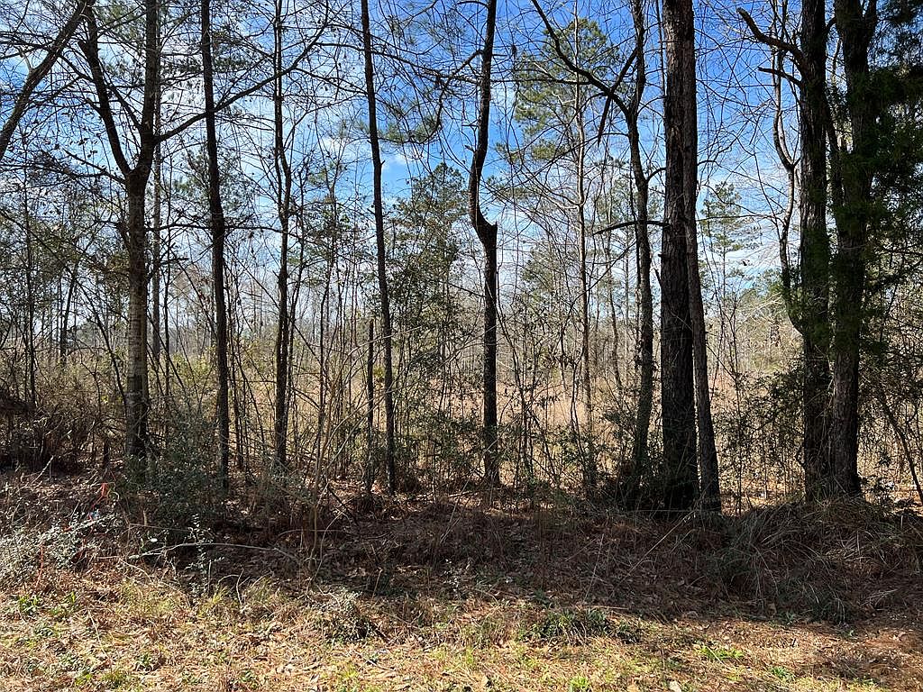 115 Claiborne Jones Rd, Waynesboro, MS 39367 | Zillow