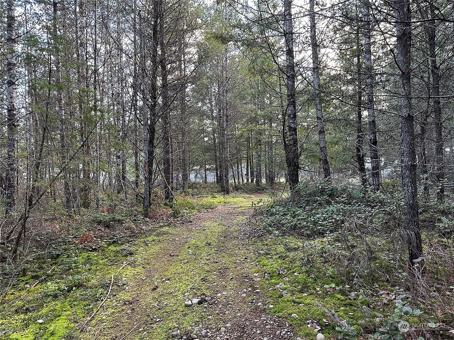 5 Acres Elfendahl Pass Road, Belfair, WA 98528 | MLS #2215761 | Zillow