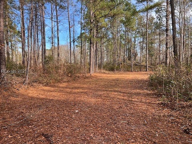 300D Sardis Rd, Ridgeland, SC 29936 | MLS #450124 | Zillow