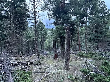 11 Vail Loop Angel Fire NM | Zillow