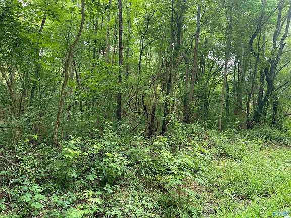 County Road 36, Heflin, AL 36264 | MLS #1834774 | Zillow