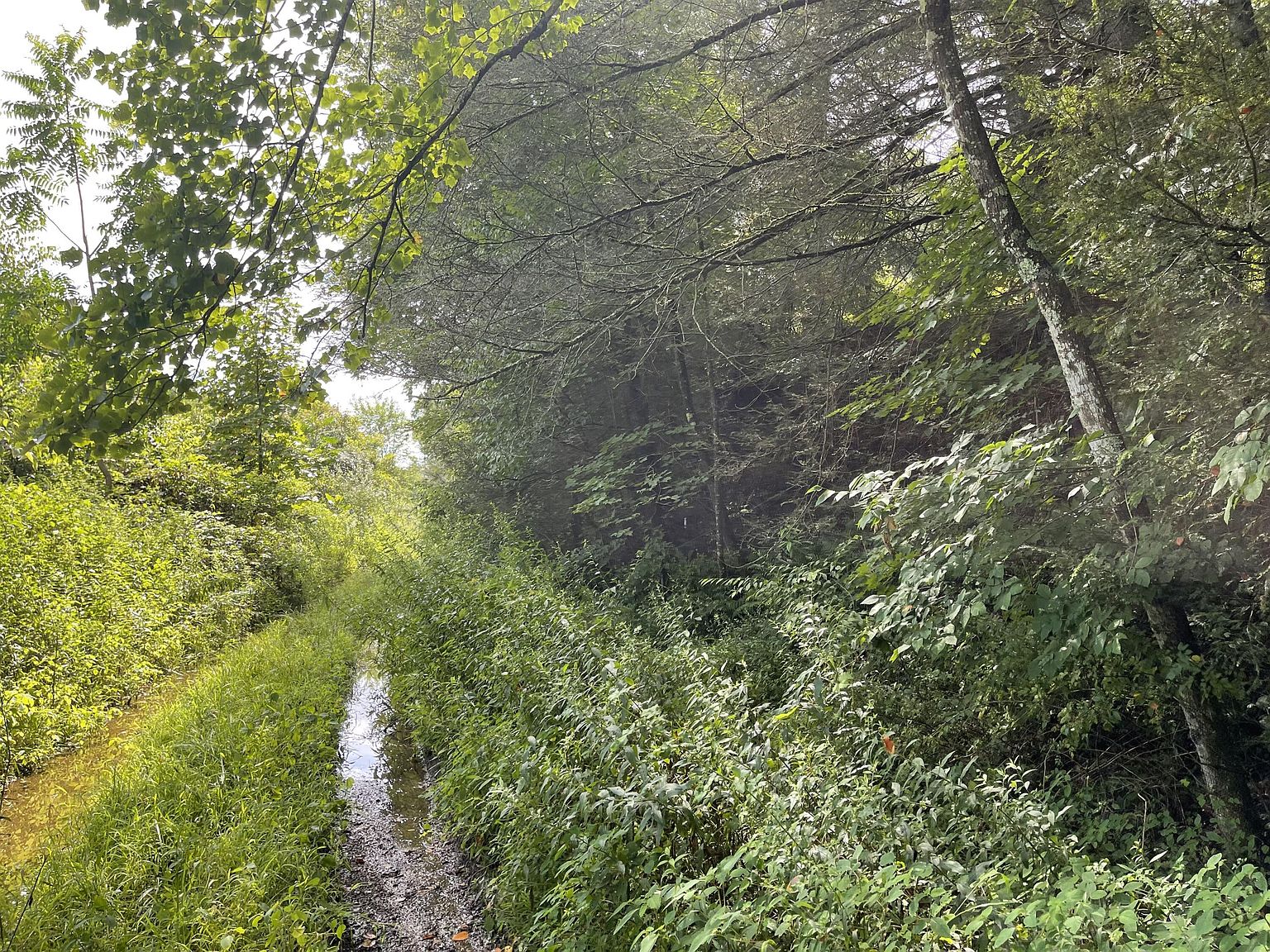 212 Granite Ln, Fairdale, WV 25839 | MLS #25-1018 | Zillow