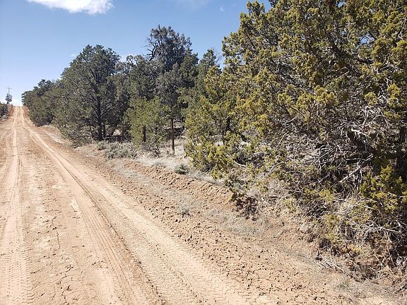 State Highway 595, Lindrith, NM 87029 | Zillow