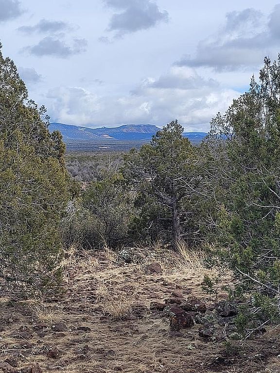 175 Juniper Woods UNIT 1, Ash Fork, AZ 86320 | Zillow