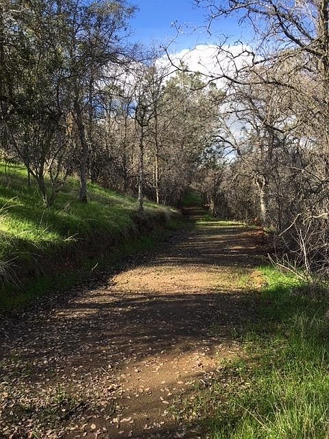 28297 Burrough Valley Rd, Tollhouse, CA 93667 | Zillow