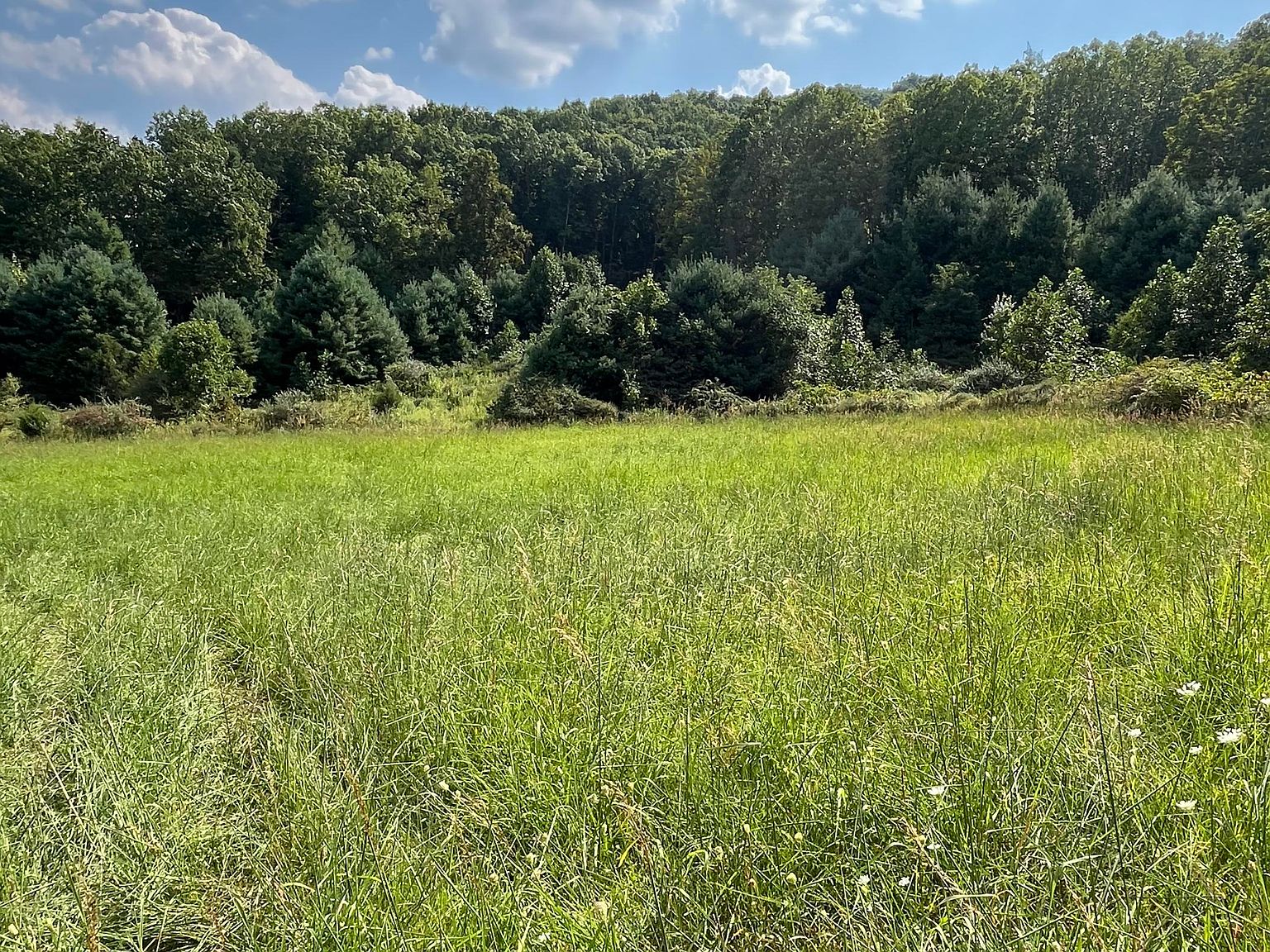 LOT 2 Ellison Ridge Rd, Jumping Branch, WV 25969 | MLS #24-1200 | Zillow