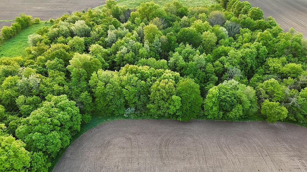 000 Big Horn Avenue, Poy Sippi, WI 54967 | Zillow