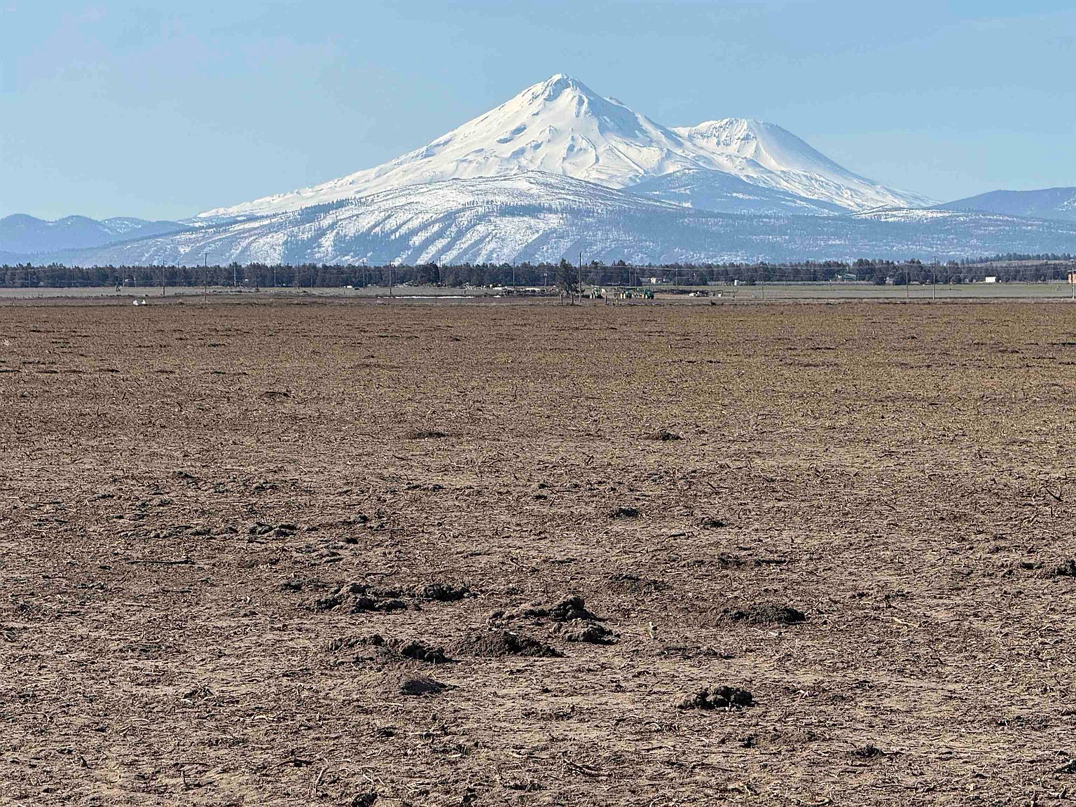 3515 Shady Dell Rd, Macdoel, CA 96058 | Zillow