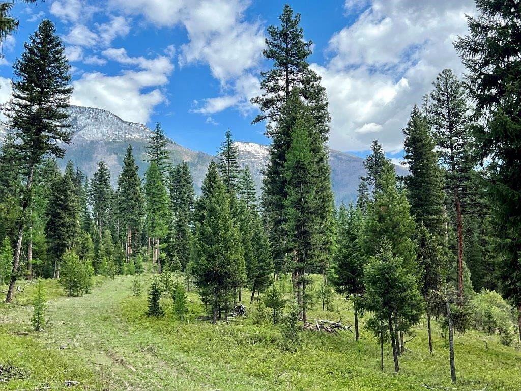 Nhn Condon Loop, Condon, MT 59826 | Zillow