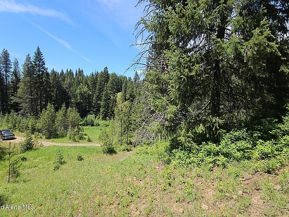 Nna2lots Ryan Loop, Saint Maries, ID 83861 | MLS #24-6865 | Zillow