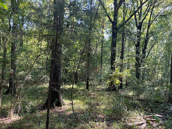 State Highway 28, Catherine, AL 36728 | MLS #01062-10018 | Zillow