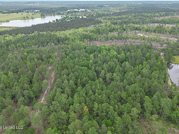 Perkinston Silver Run Rd, Perkinston, MS 39573 | MLS #4044626 | Zillow