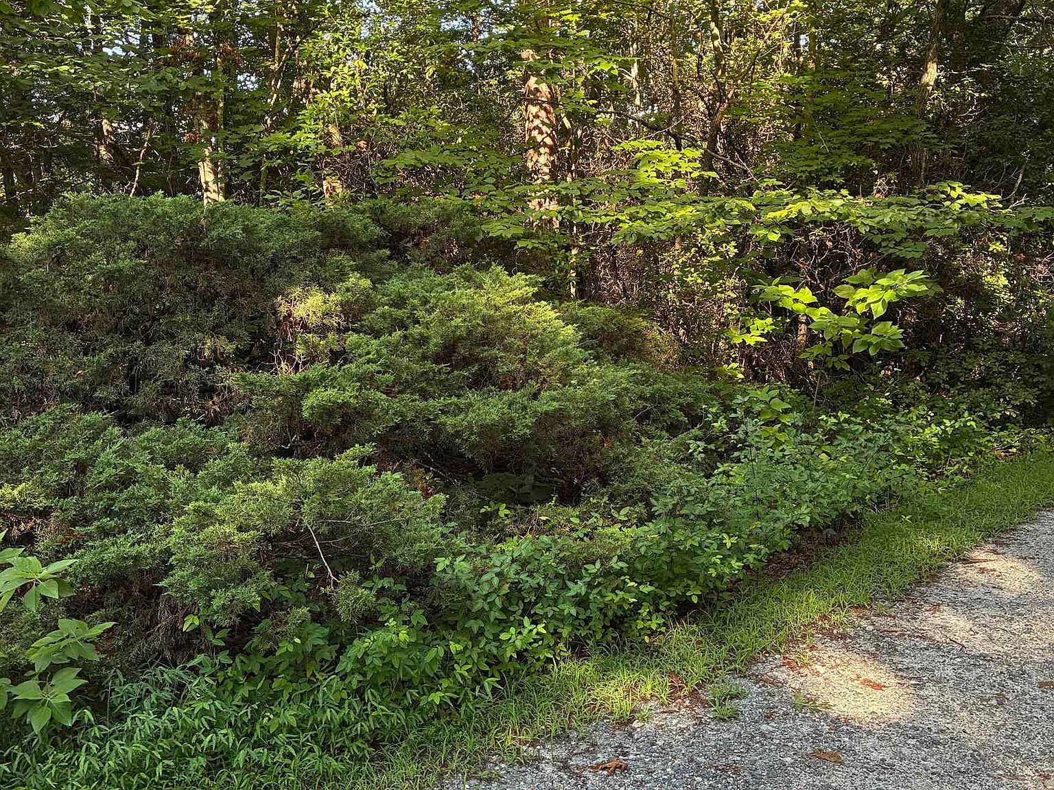 231 Cherokee Hills Trl, Pickens, SC 29671 | MLS #1564256 | Zillow