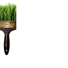 Eman Morgan-Brown - Home Improvement Professional in Portland, OR ...