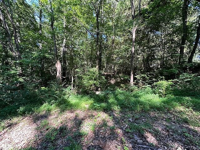 0 Cummins Road Eva Harbor Rd, Eva, TN 38333 | MLS #131678 | Zillow
