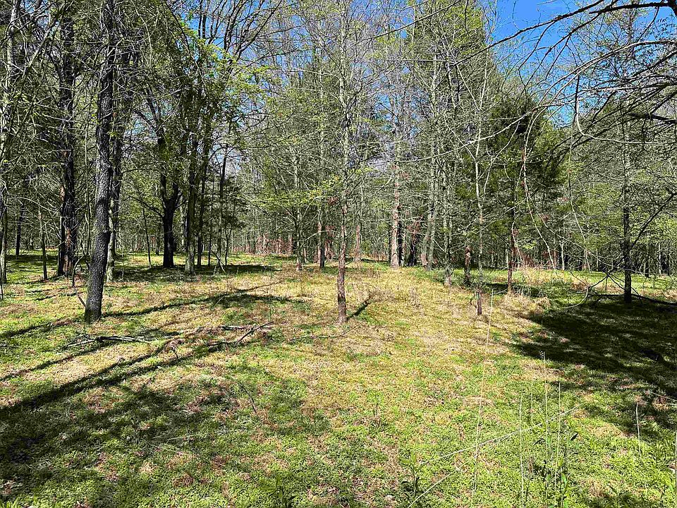 46 Jones Chapel Dr, Williston, TN 38076 | MLS #10169811 | Zillow