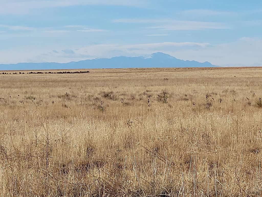 Nepesta Hills Rd, Boone, CO 81025 | Zillow