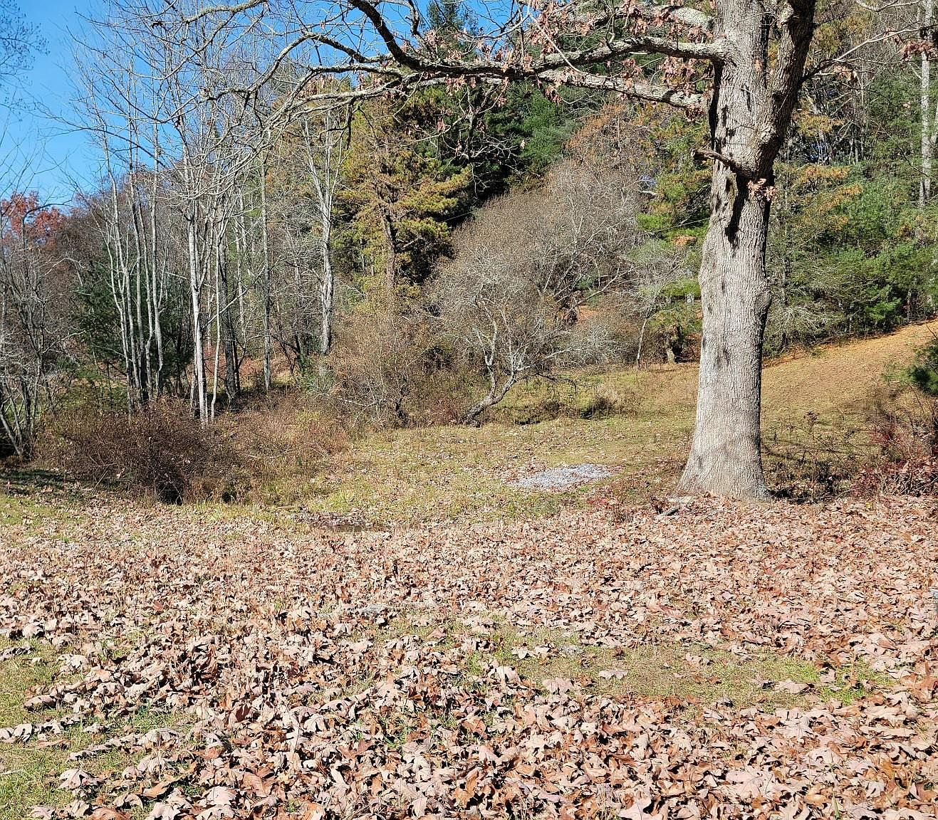 9999 N Bearwallow Rd, Fletcher, NC 28732 | Zillow