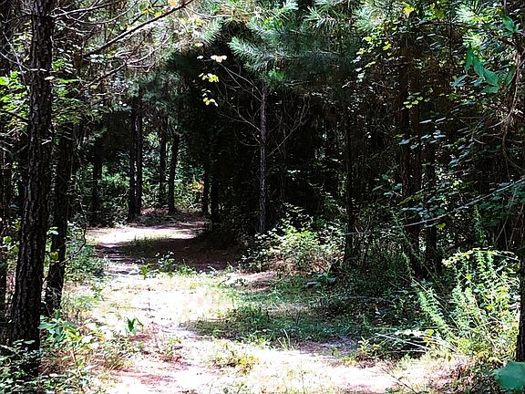 0 Raymond Wilkes Rd, Rockledge, GA 30454 | MLS #10350329 | Zillow