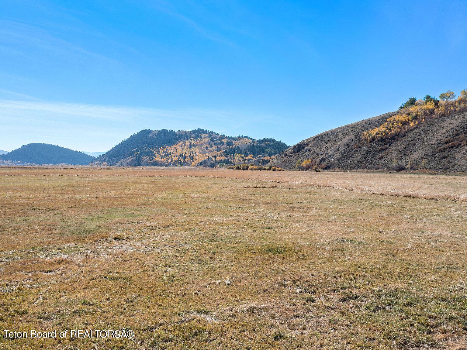 2100 N Spring Gulch Rd, Jackson, WY 83001 | MLS #24-2495 | Zillow