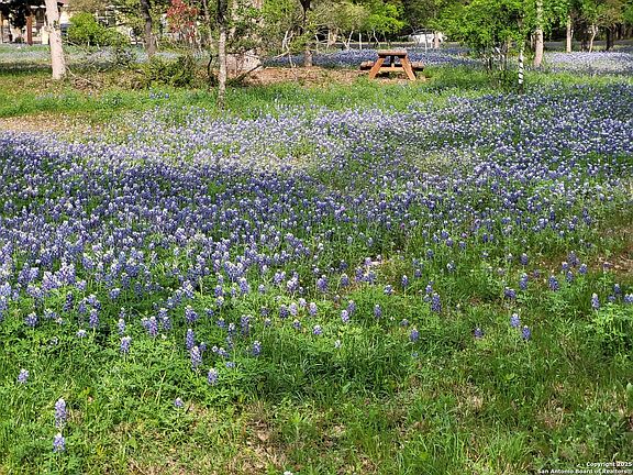 3519 Oak Cluster St LOT 4, San Antonio, TX 78253 | MLS #1868314 | Zillow