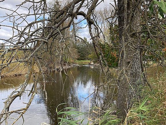 N102999 State Highway 41, Daggett, MI 49821 | Zillow