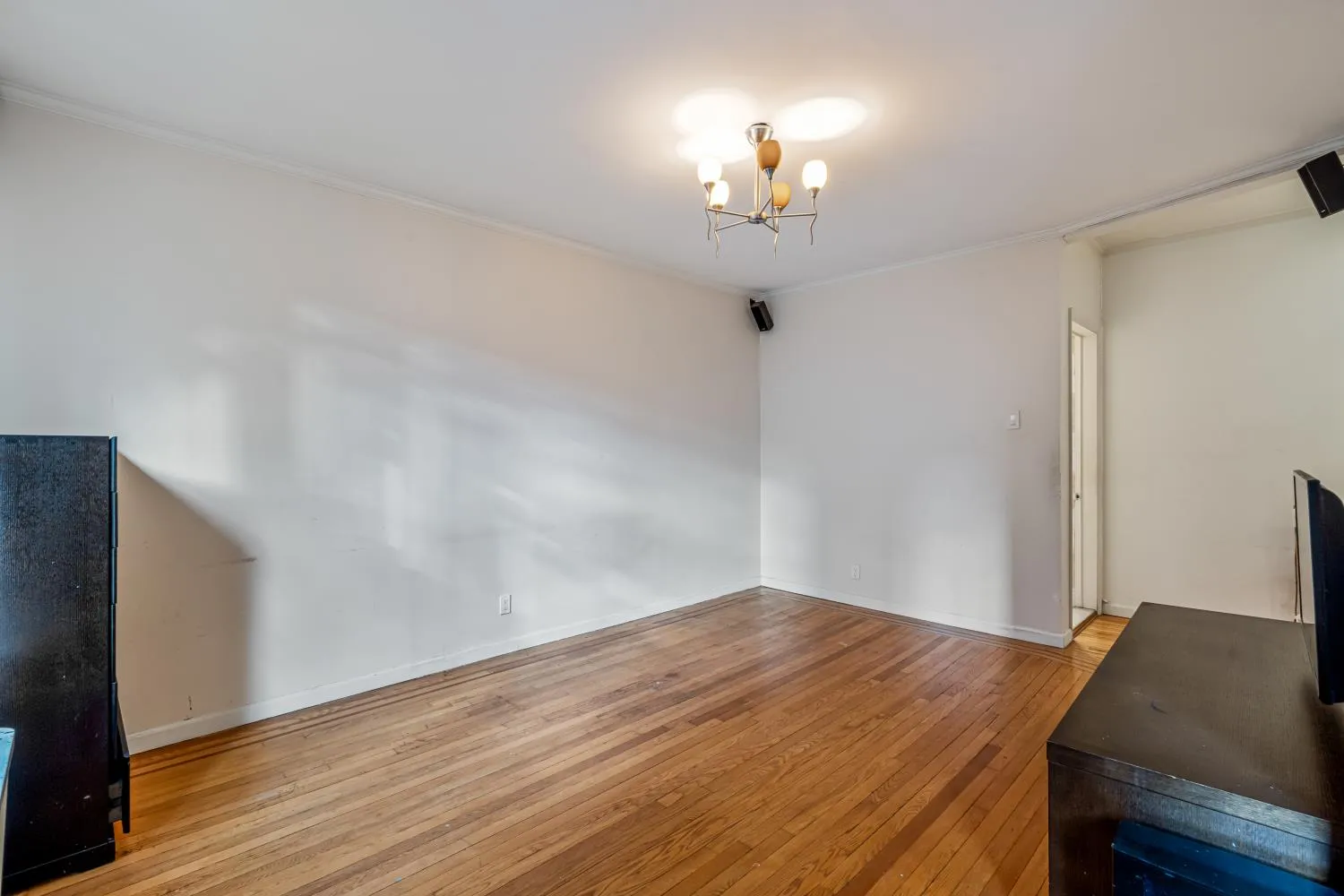 83-74 Talbot Street #3D in Kew Gardens, Queens | StreetEasy